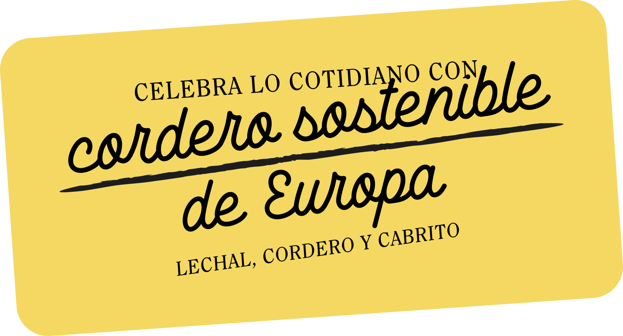 Cortes del cordero: qué parte elegir según la receta - Canal cordero